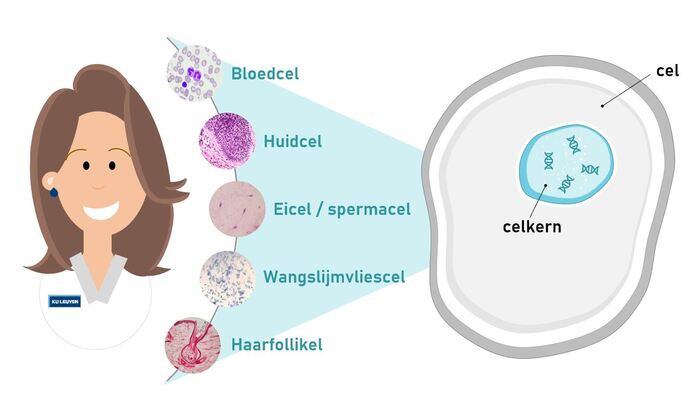 #1 - Wat is DNA? :: CSY-Leuven